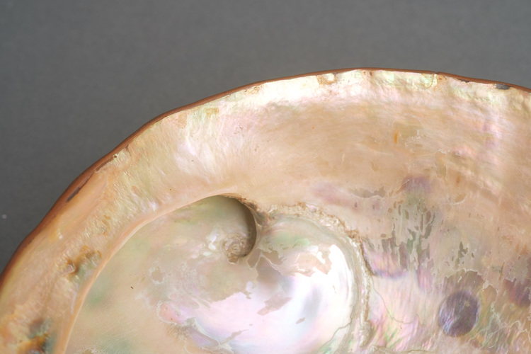 A LARGE JAPANESE ABALONE 鮑 (AWABI)-SHELL WITH LACQUERED LID, MEIJI ...