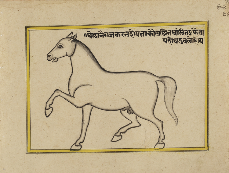 FIFTEEN ILLUSTRATED LEAVES FROM A MANUSCRIPT ON HORSES, INDIA ...