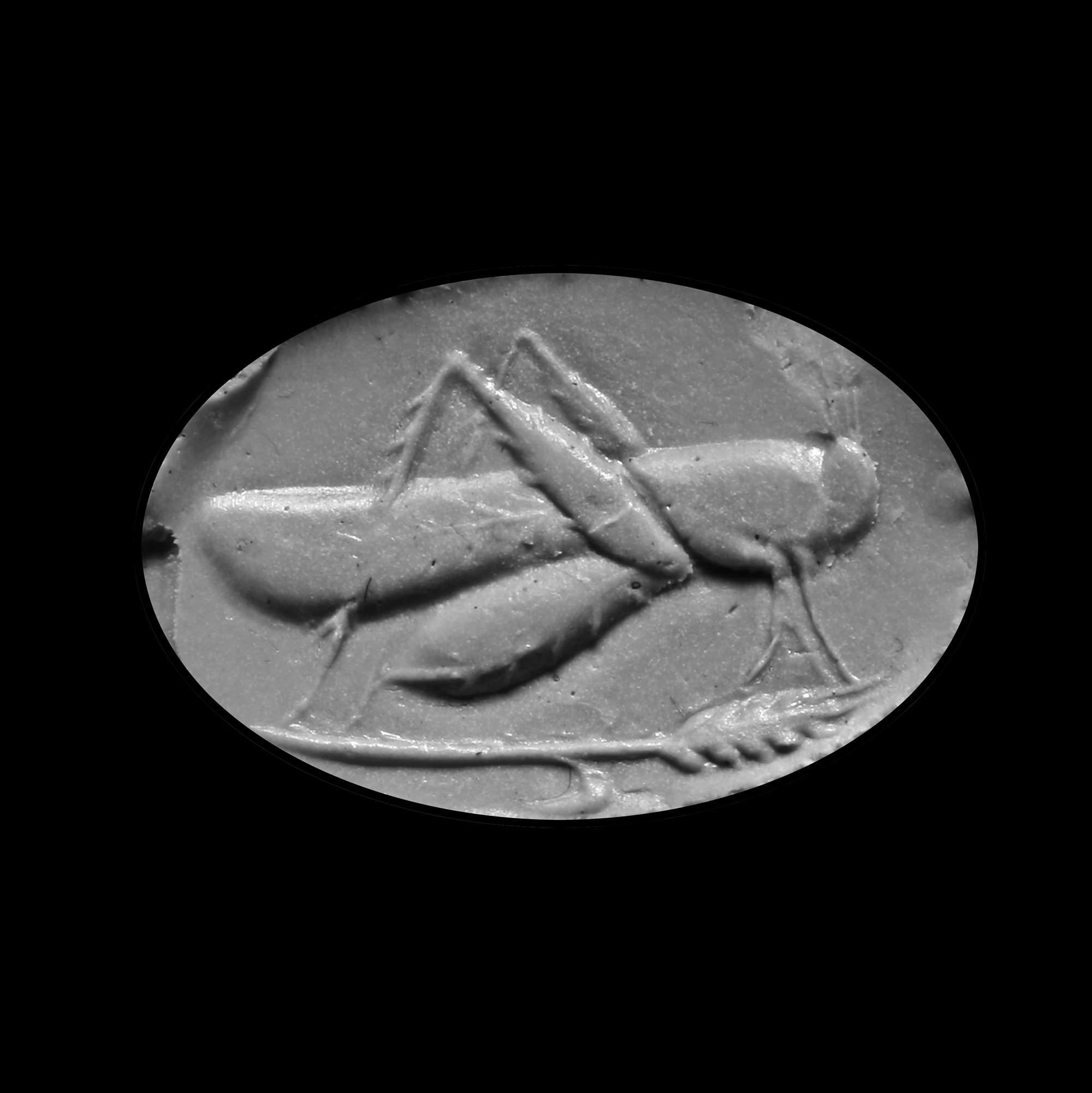 A HELLENISTIC GOLD RING WITH AN INTAGLIO SHOWING A LOCUST, 2ND/3RD ...